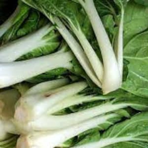 Pechay Seeds 200 Seeds -filipino Variety of Mild Chinese Cabbage- Pai ...