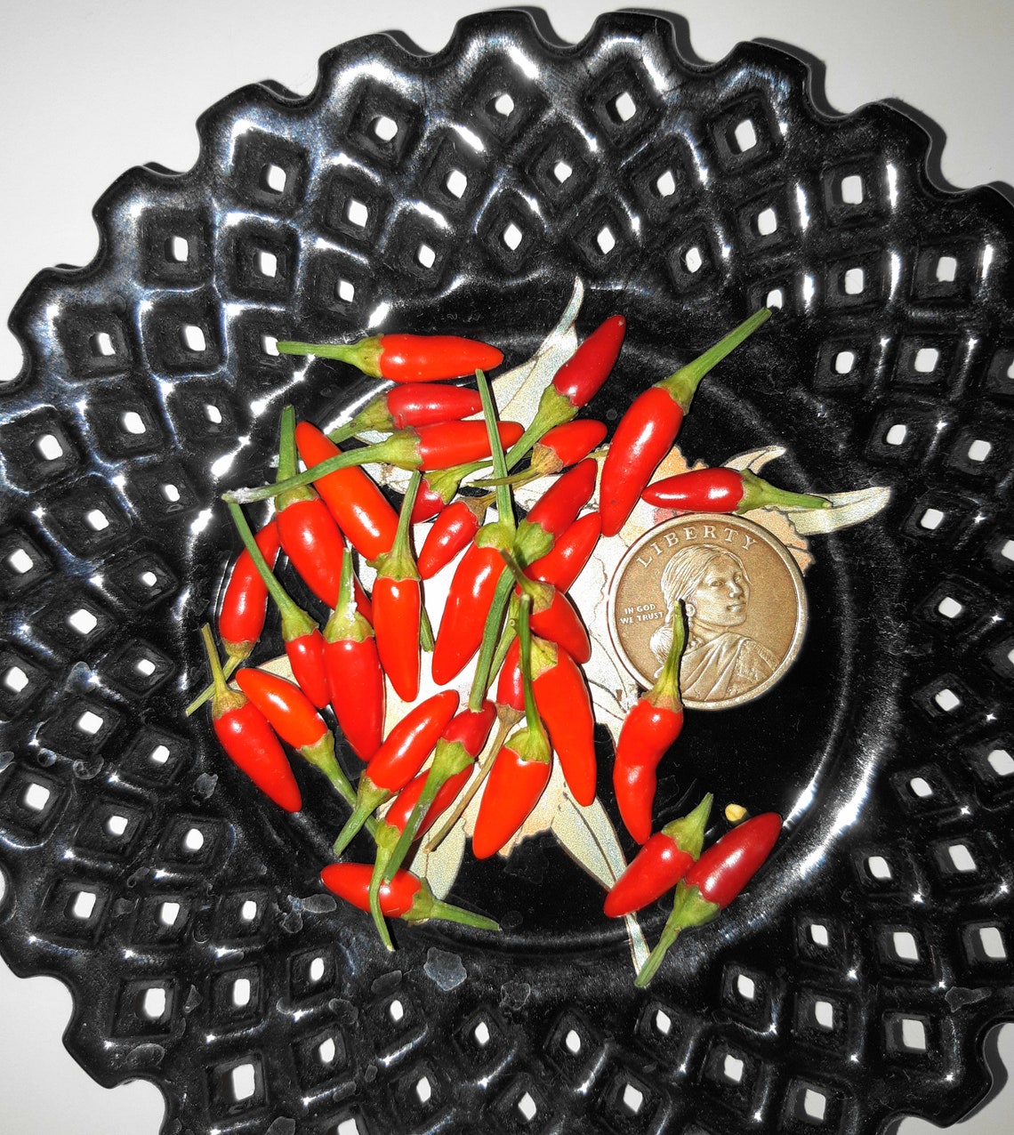 Siling Labuyo RARE Filipino Chili Pepper Seeds Free - Etsy