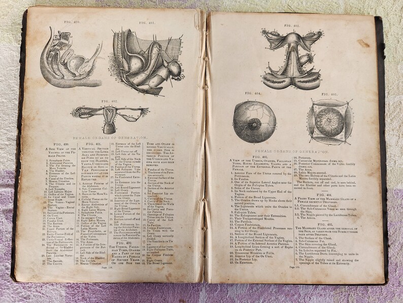 Anatomical Atlas Illustrative of the Structure of the Human - Etsy