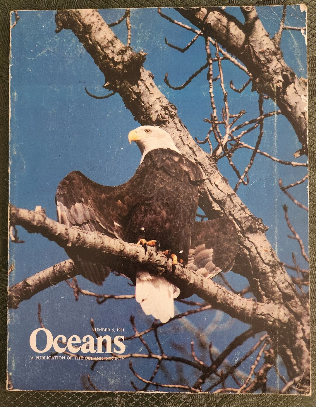 Vintage Oceans Magazine, Number 5, 1981 - Etsy