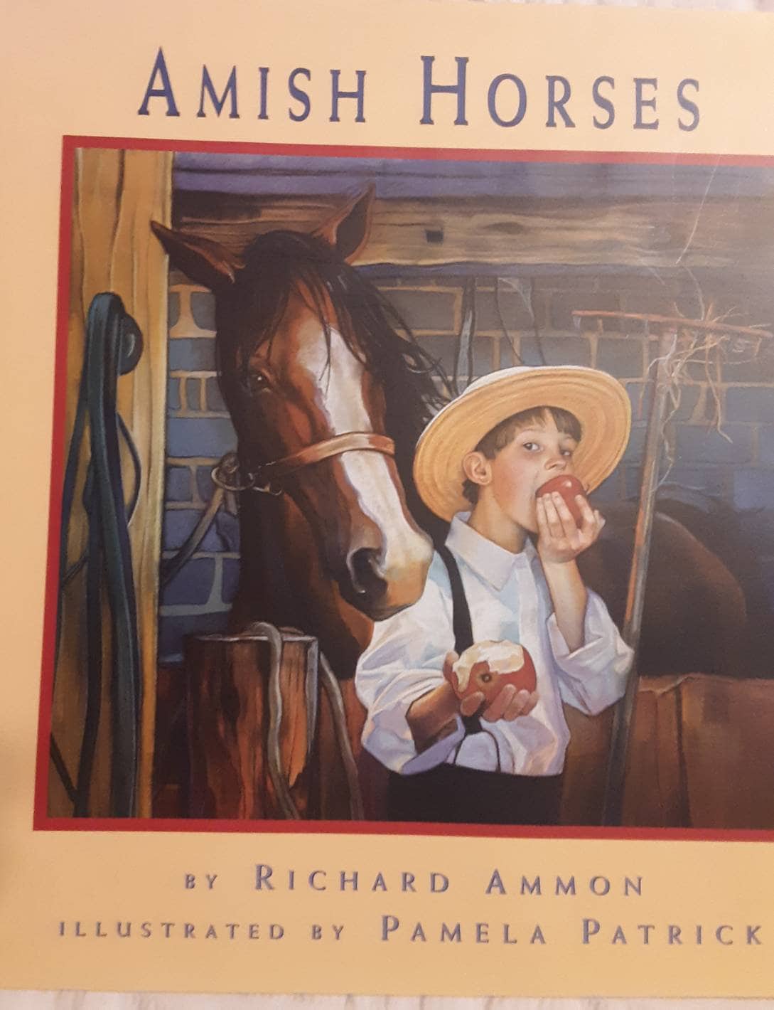 3 Amish Books. Two for Children by Richard Ammon: an Amish - Etsy