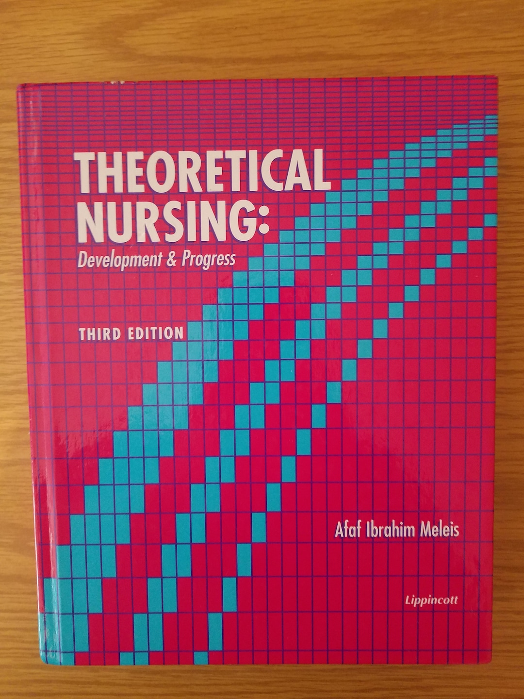 Theoretical Nursing: Development & Progress, 3rd Edition, Afaf Ibrahim ...