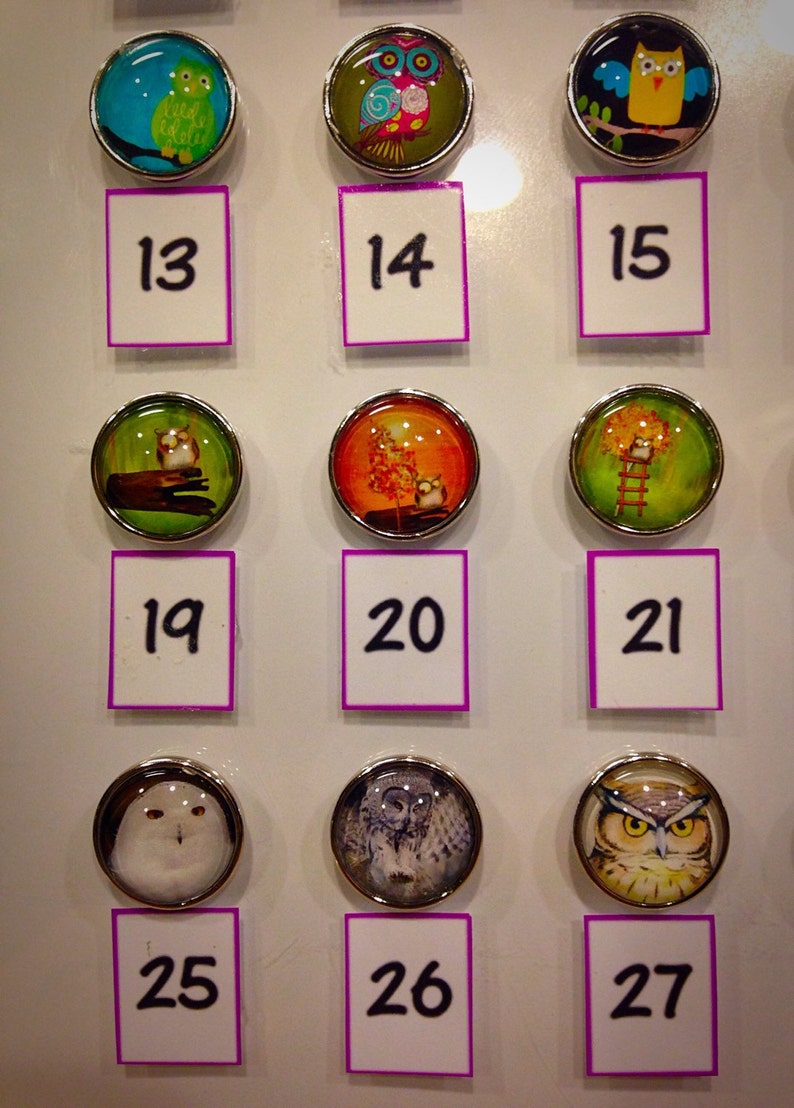 Snappy Chicks Handcrafted Snaps Owls. Fun Funky and - Etsy