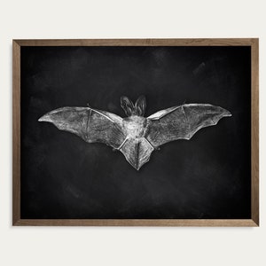 Bat Poster,halloween Bat Printable Wall Art,bat Sketch Print,halloween ...