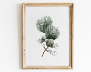 VisualPixie - Etsy Australia