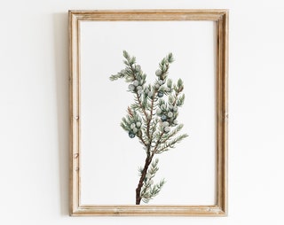 VisualPixie - Etsy Australia