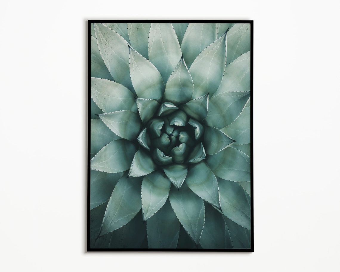 Close up Agave Poster , Botanical Poster , Succulent Printable , Cactus ...