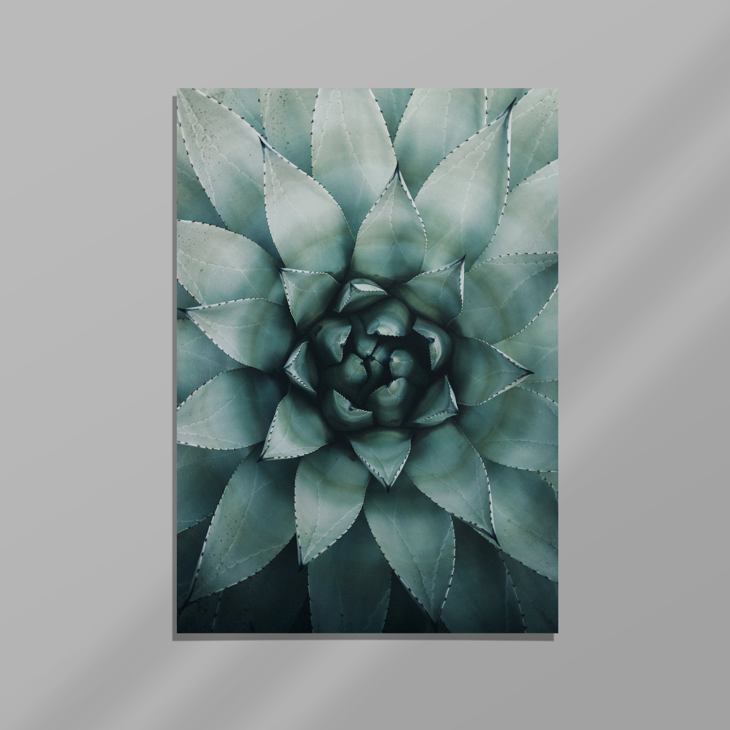 Close up Agave Poster , Botanical Poster , Succulent Printable , Cactus ...