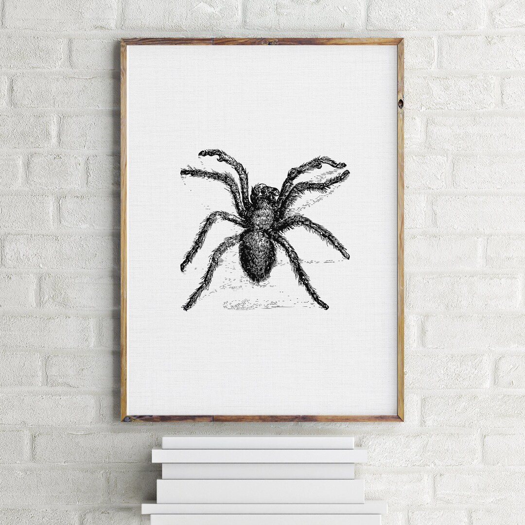 Spider Printable Wall Art,halloween Poster,tarantula Sketch Print ...