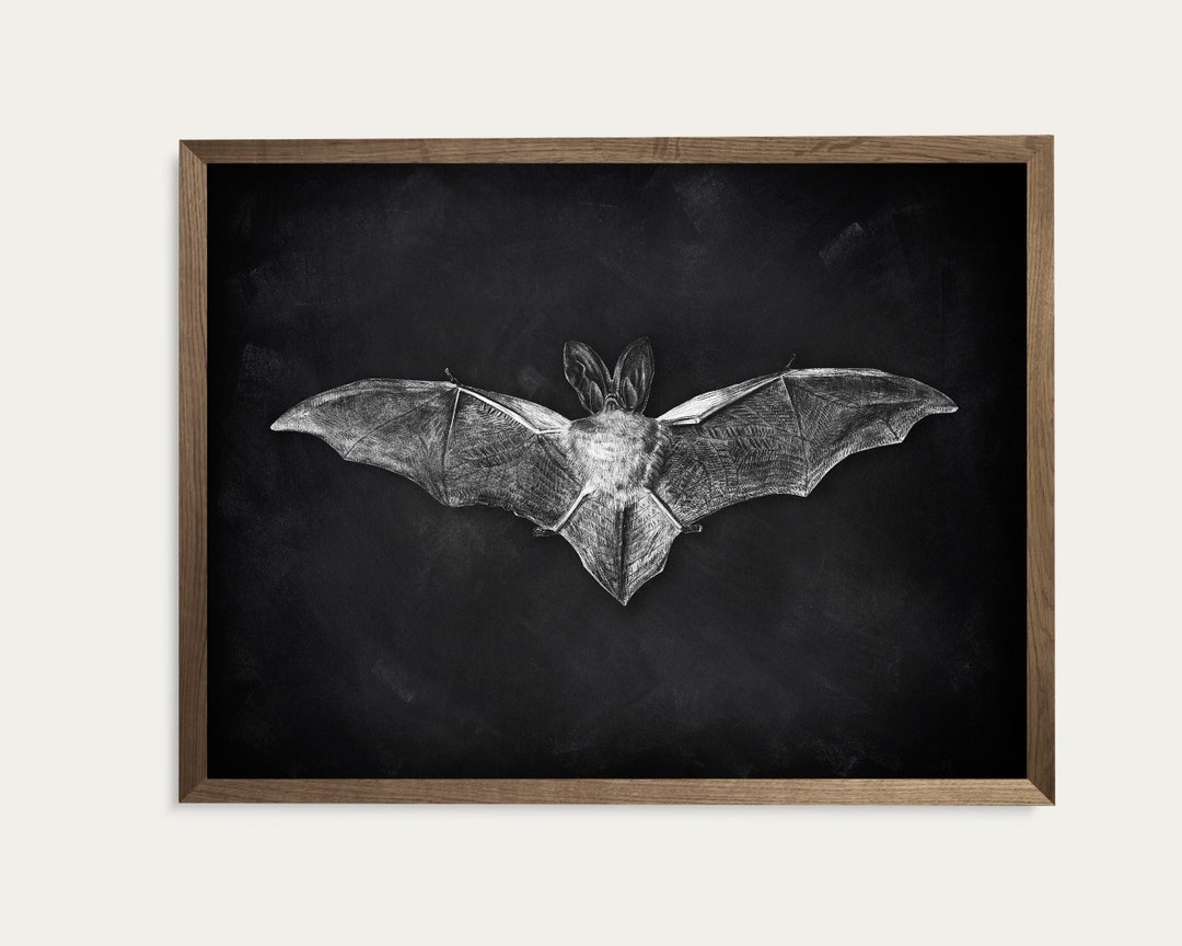 Bat Poster,halloween Bat Printable Wall Art,bat Sketch Print,halloween ...