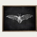 Bat Poster,halloween Bat Printable Wall Art,bat Sketch Print,halloween ...