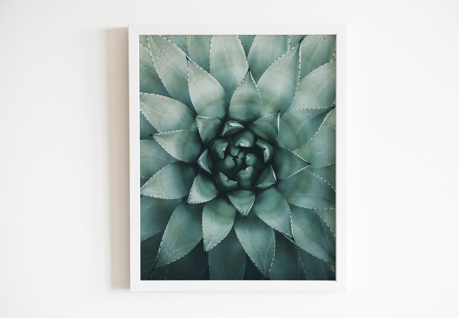 Close up Agave Poster , Botanical Poster , Succulent Printable , Cactus ...
