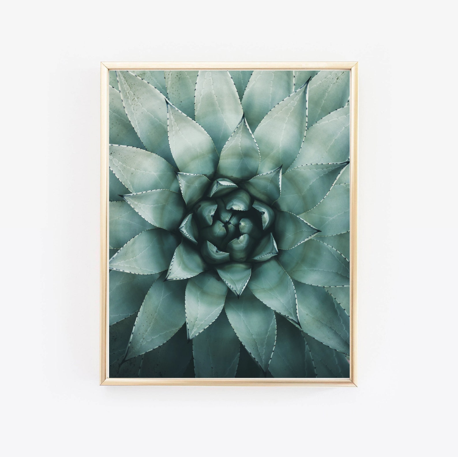 Close up Agave Poster , Botanical Poster , Succulent Printable , Cactus ...