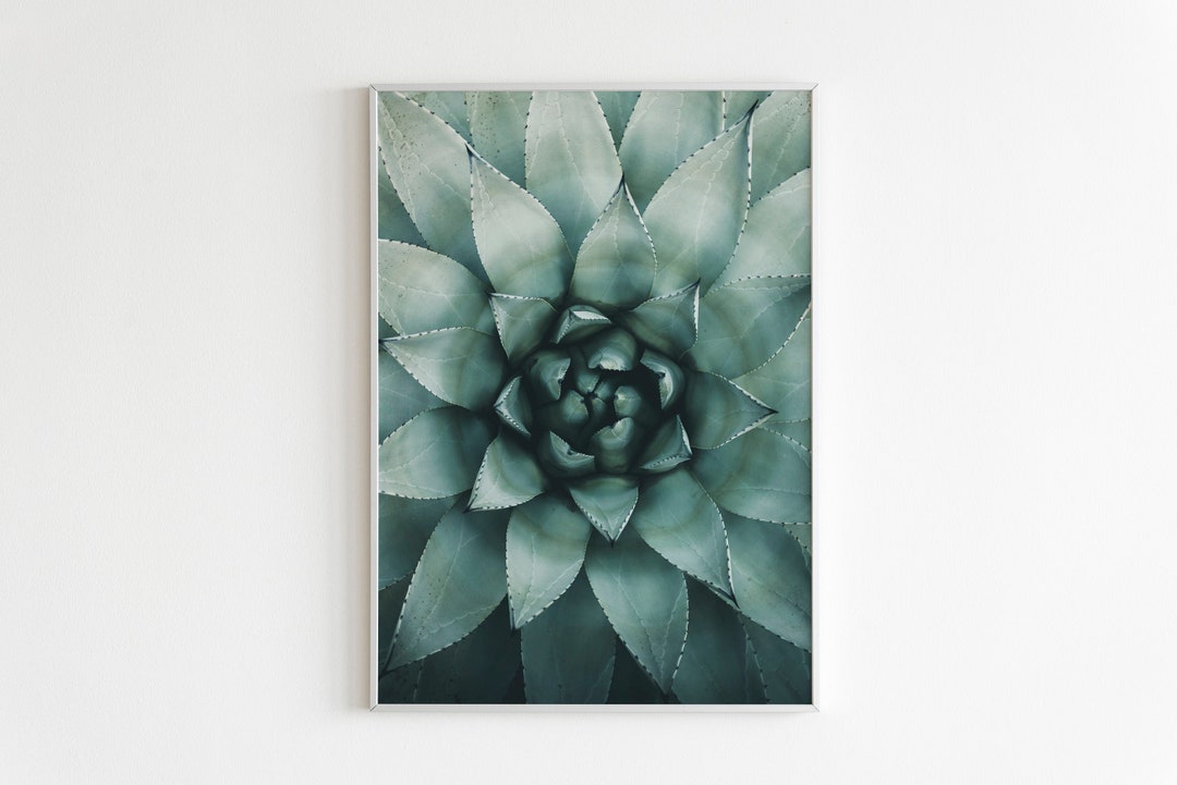 Close up Agave Poster , Botanical Poster , Succulent Printable , Cactus ...