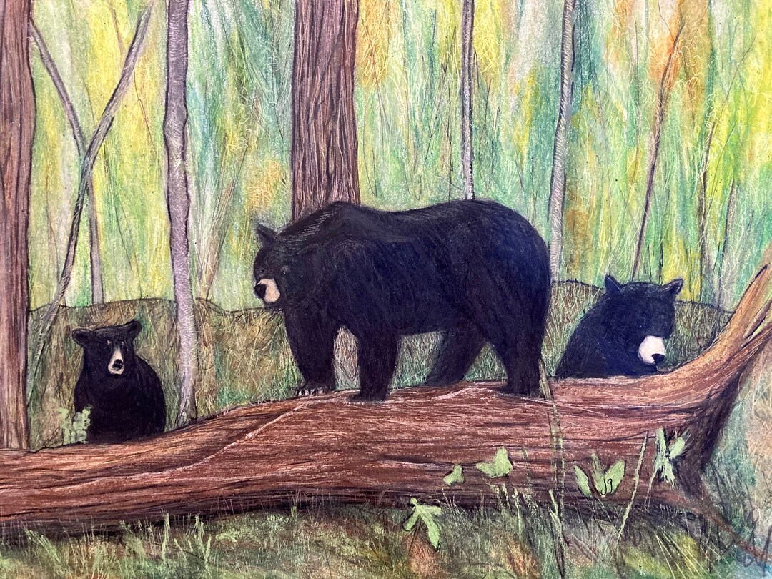 Blue Ridge Bears Magnet - Etsy