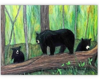 Blue Ridge Bears - Etsy