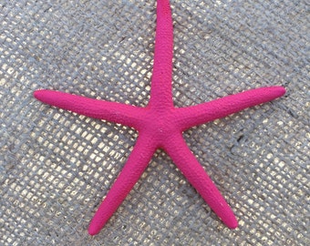 Pink starfish | Etsy