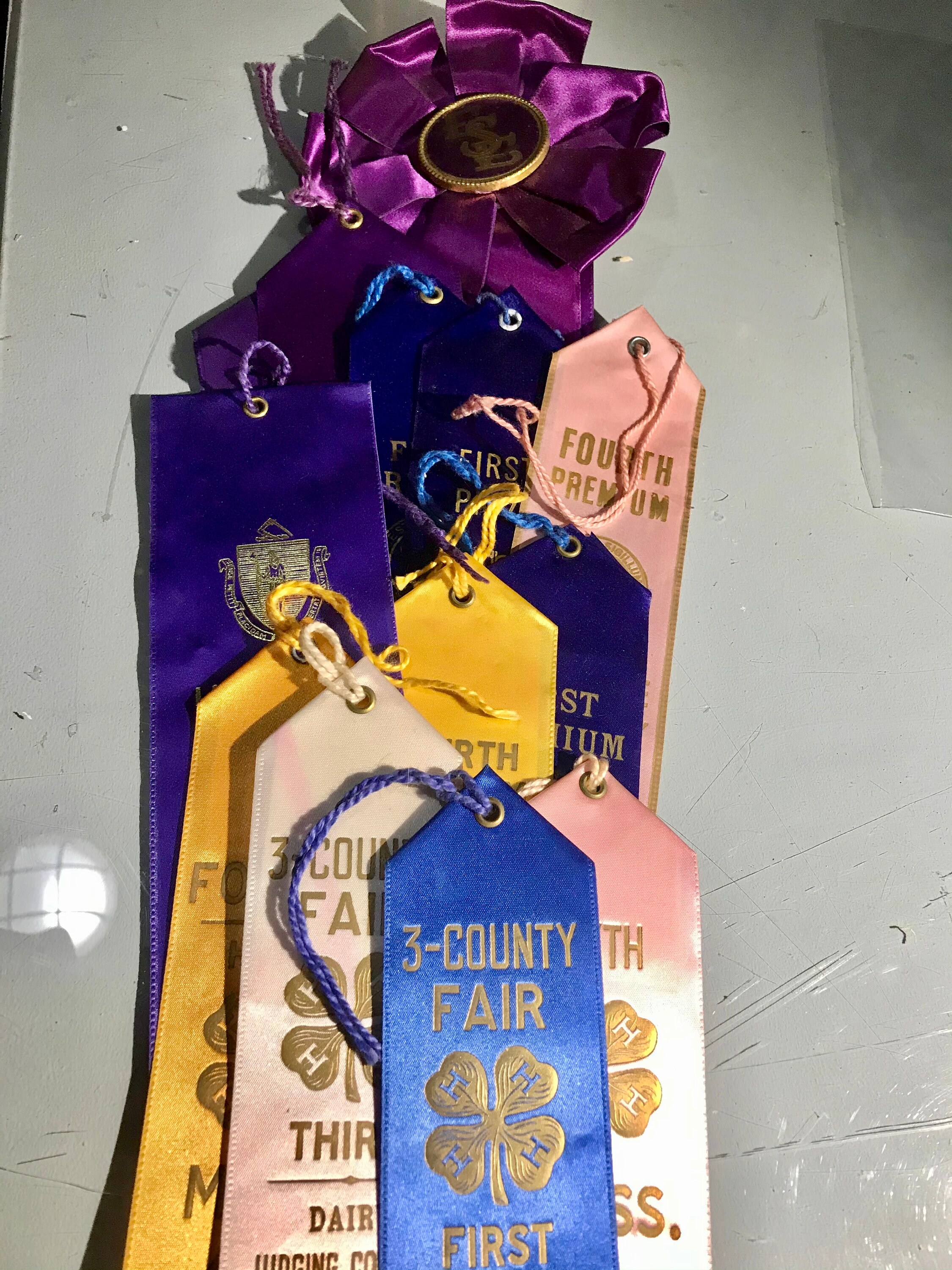 Purple Rosette Ribbons