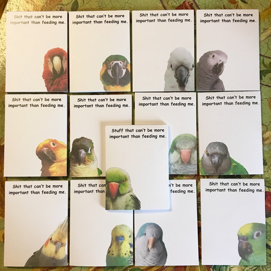 4 X 5.5” SHIT Notepads With 13 Different Parrot Species to Choose From ...