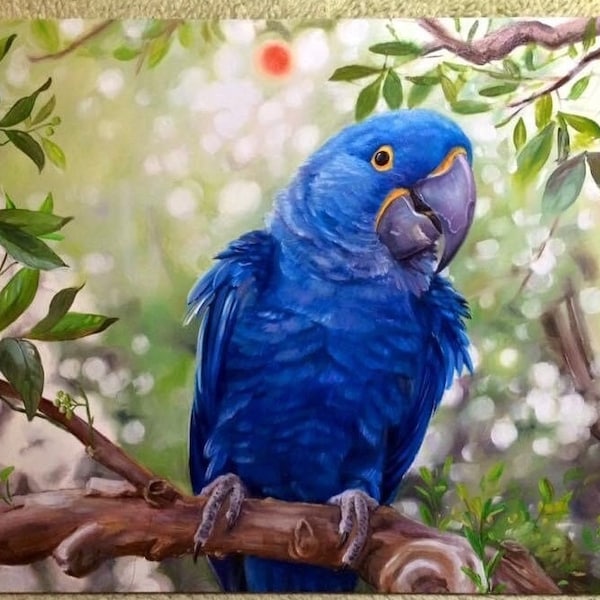 Macaw Painting Original - Etsy