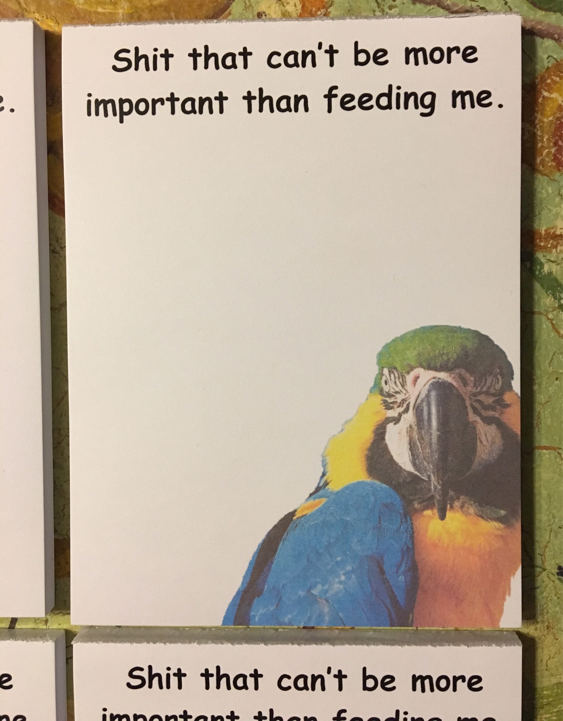 4 X 5.5” SHIT Notepads With 13 Different Parrot Species to Choose From ...