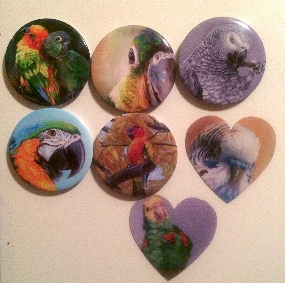 Original Parrot Art Refrigerator Magnets - Etsy