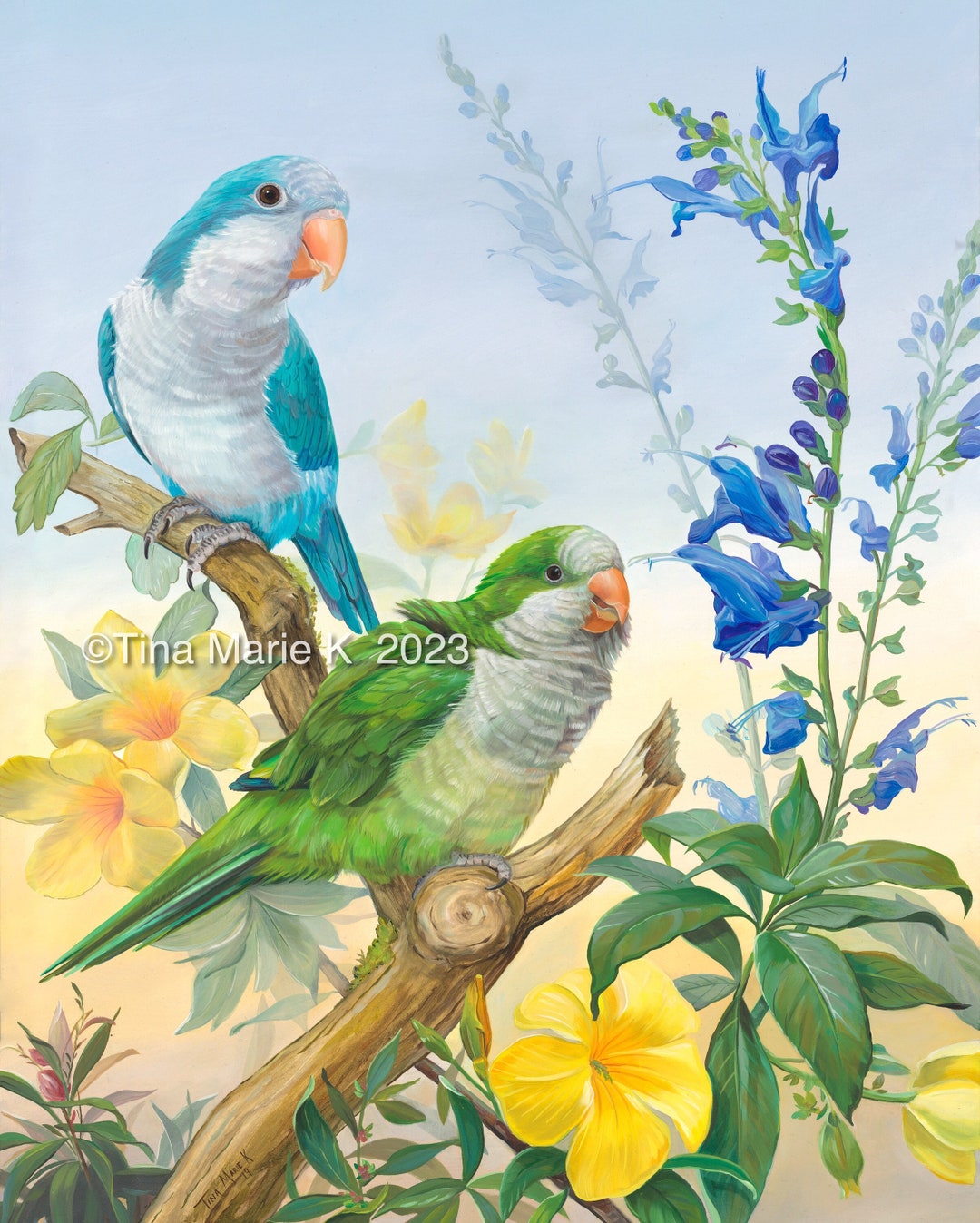 Quaker Parrot AFA Painting - Canvas Print - Etsy