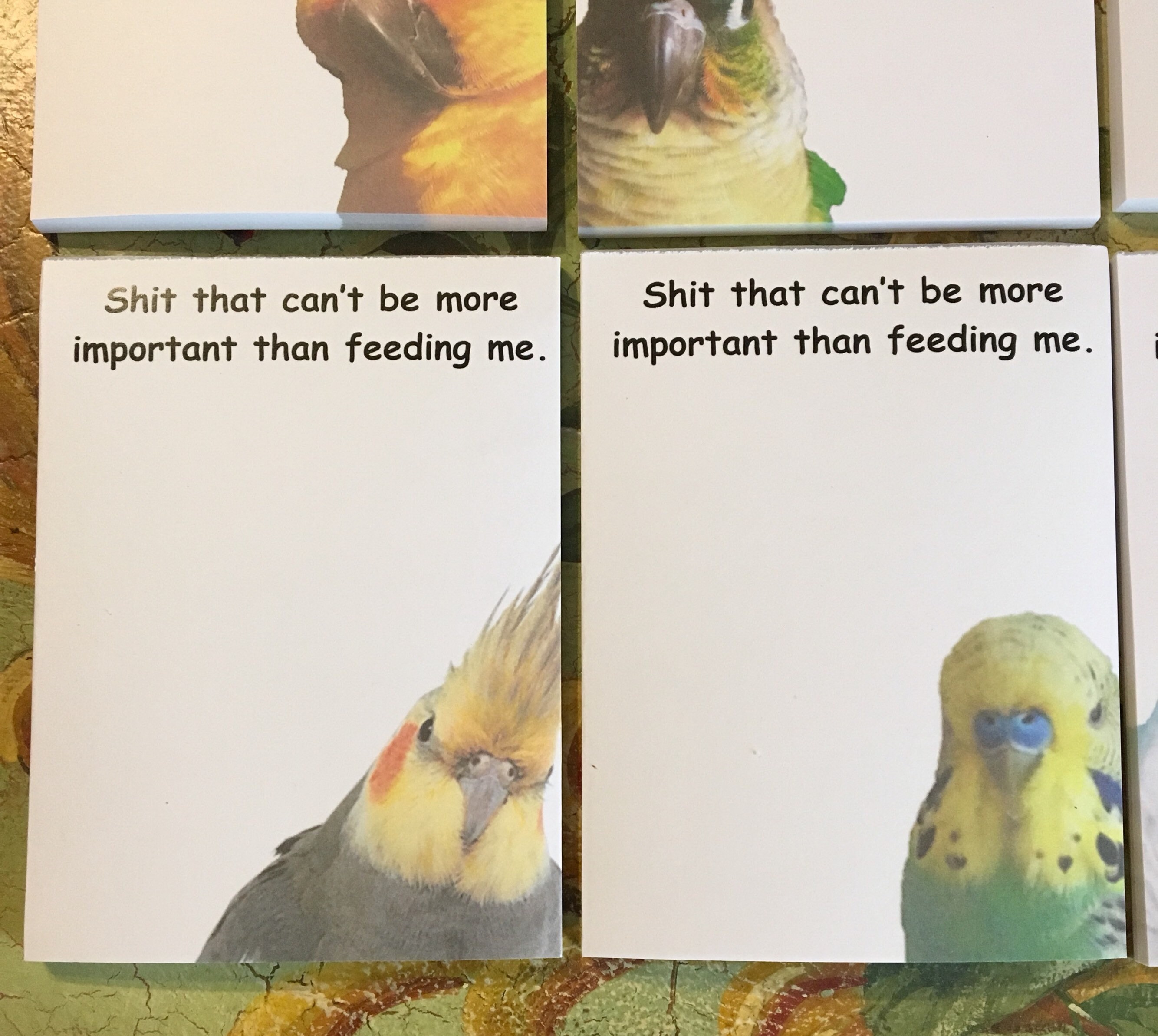 4 X 5.5 SHIT Notepads With 13 Different Parrot Species to - Etsy