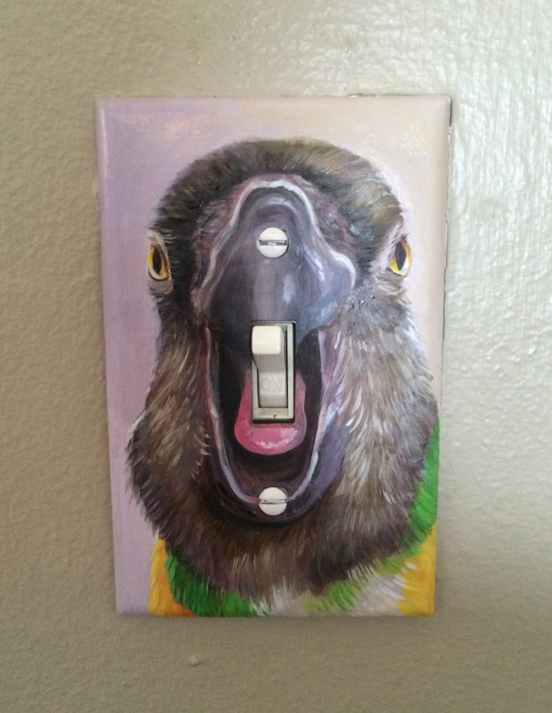 Hand-painted parrot tongue switch plate covers. | Etsy