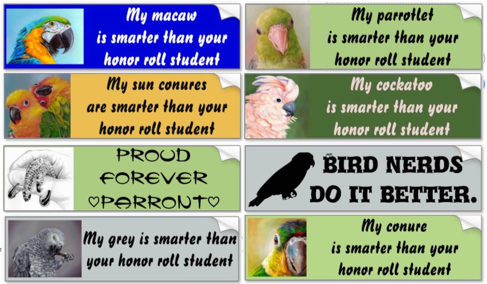 Funny Parrot Themed Bumper Stickers- Choose From Over a Dozen Designs ...