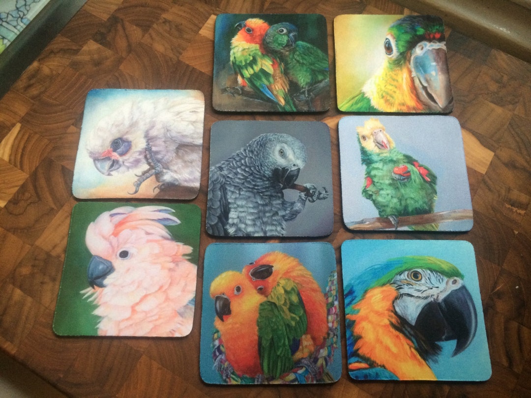 Parrot Coasters Featuring Original Artwork - Etsy