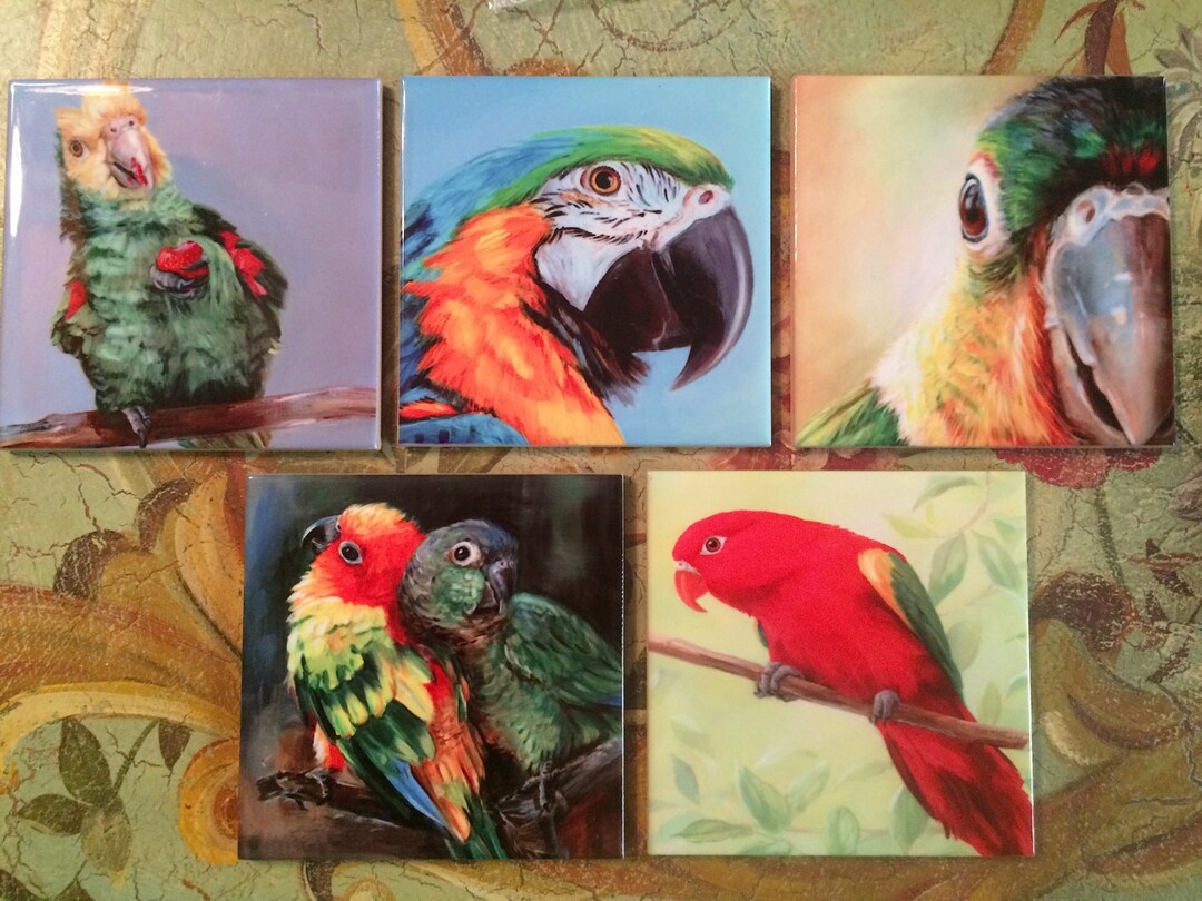 Lovely Parrot Ceramic Tiles,drink Coasters,kitchen Bathroom Walls ...