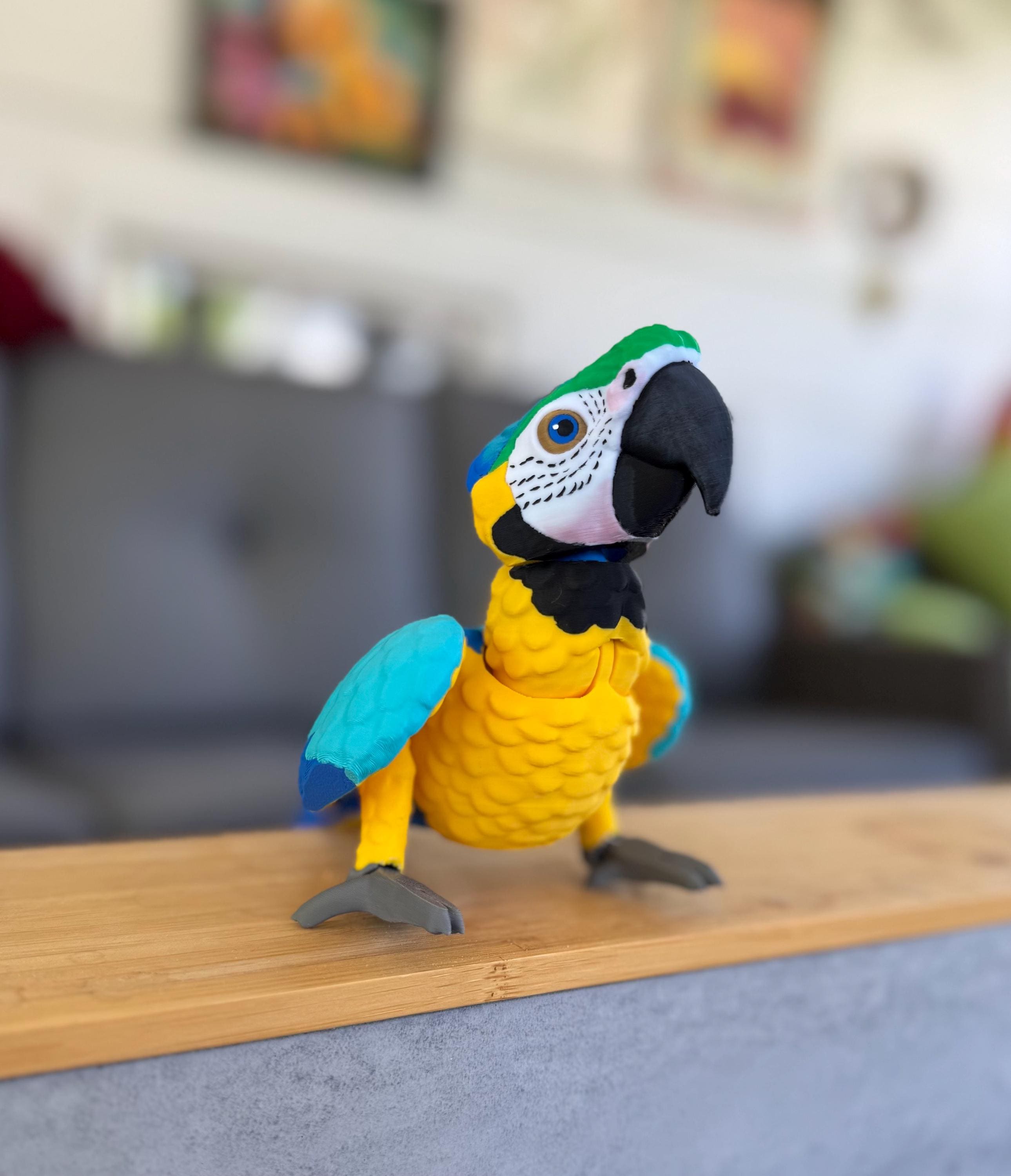 Blue and Gold Macaw Parrot - Articulated 3D Model With Some Hand ...