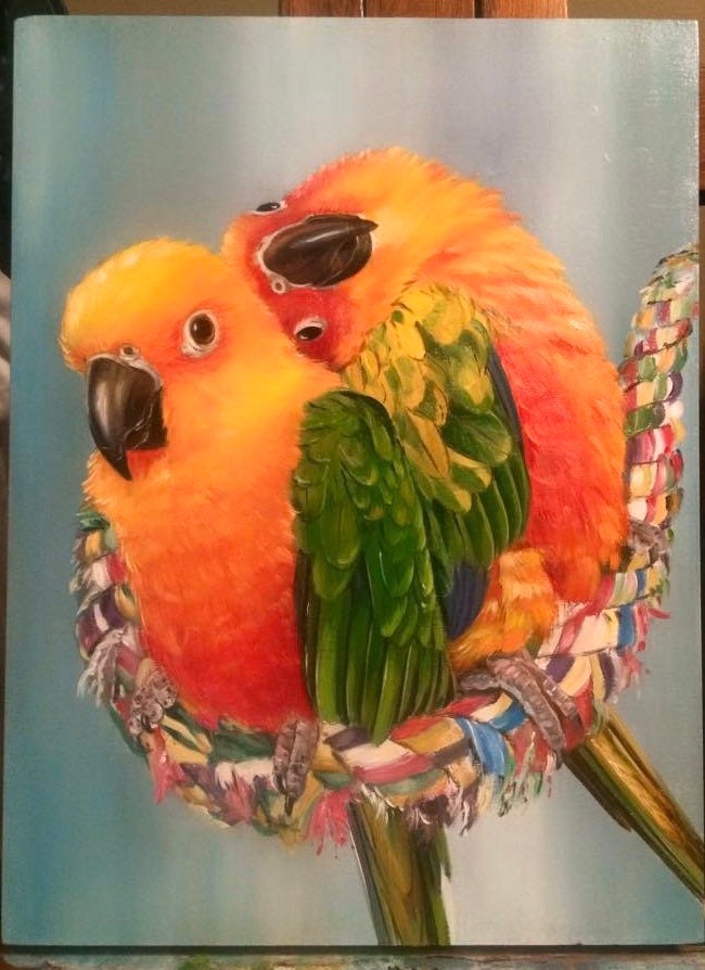 Sun Conure Pair - Canvas Print (loose) of My Original Painting - Etsy