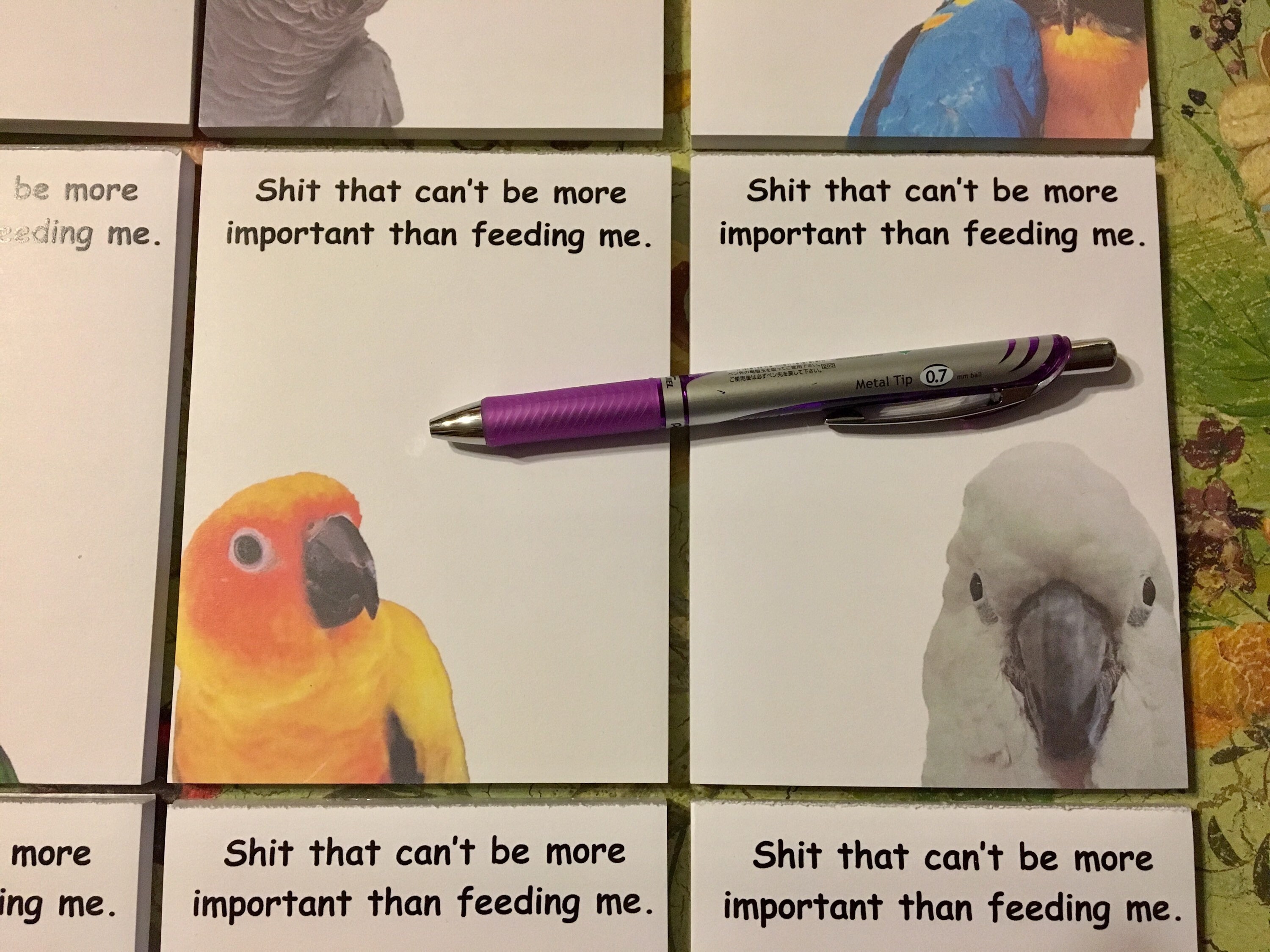 4 X 5.5” SHIT Notepads With 13 Different Parrot Species to Choose From ...