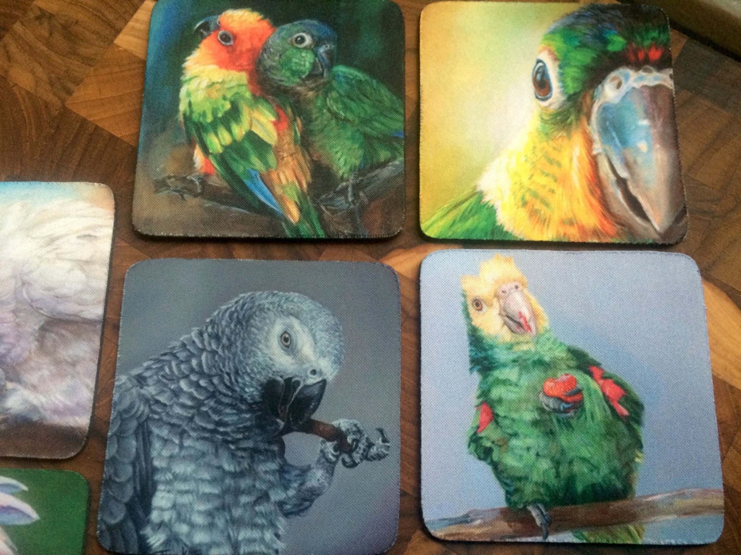 Parrot coasters featuring original artwork | Etsy