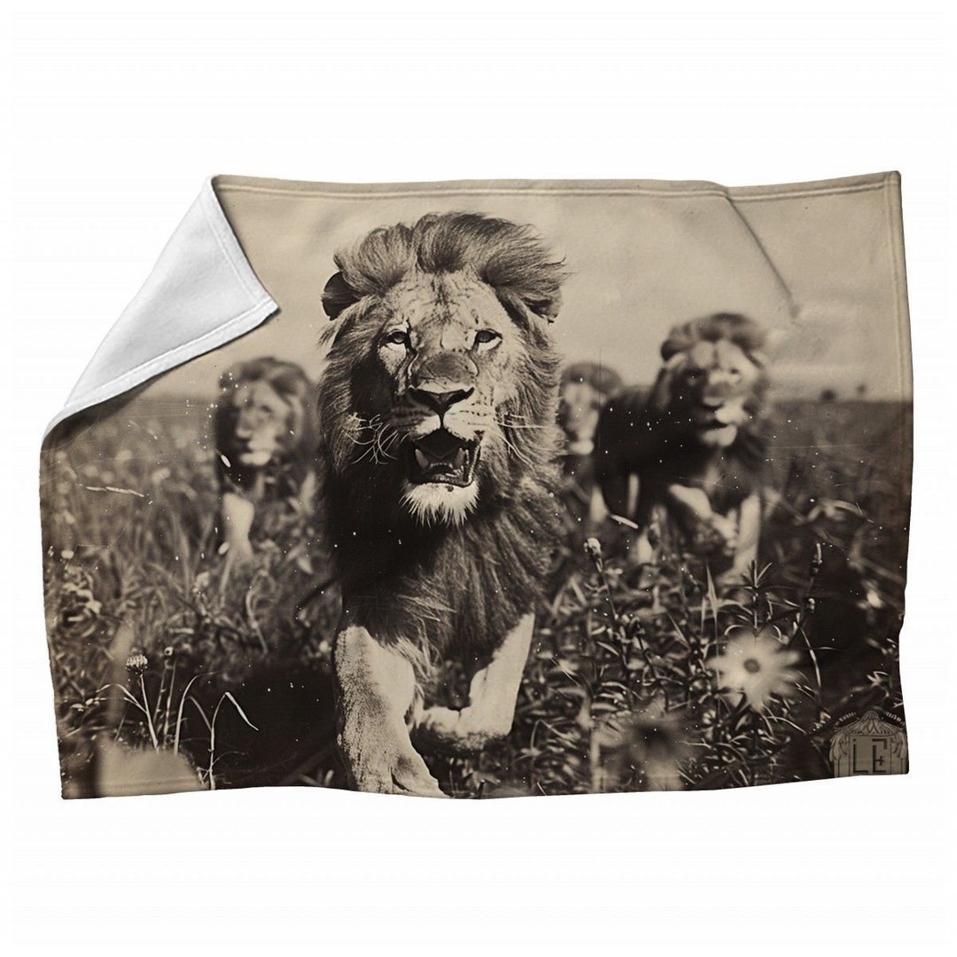 Lions Blanket, Animal Blankets, Wildlife Sherpa Blanket, Photograph ...