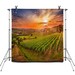 Vineyard Backdrops Italian Vineyard at Sunset Backdrop Green - Etsy