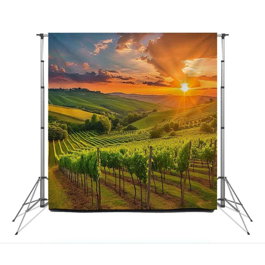 Vineyard Backdrops Italian Vineyard at Sunset Backdrop Green and Orange ...
