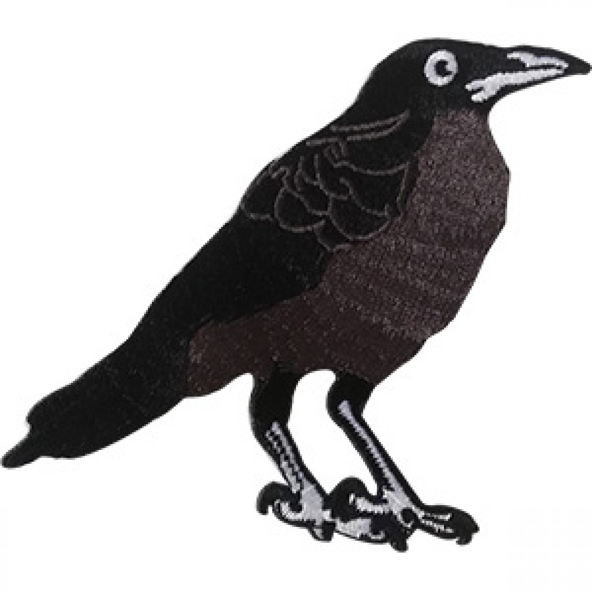 Blackbird / Crow / Raven Embroidered Patch Iron on Applique - Etsy