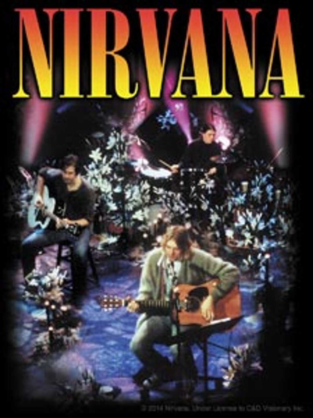 Nirvana Acoustic Vinyl Sticker, Officially Licensed, High Quality, Band ...