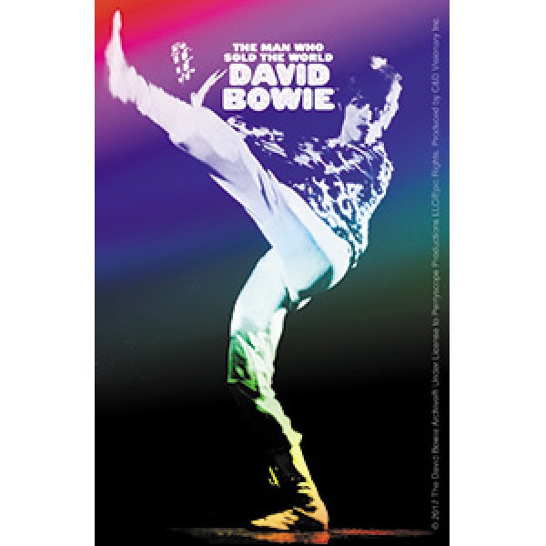 David Bowie Vinyl Sticker, Officially Licensed, Man Who Sold the World ...