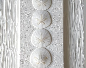 Seashell Wall Decor | Etsy