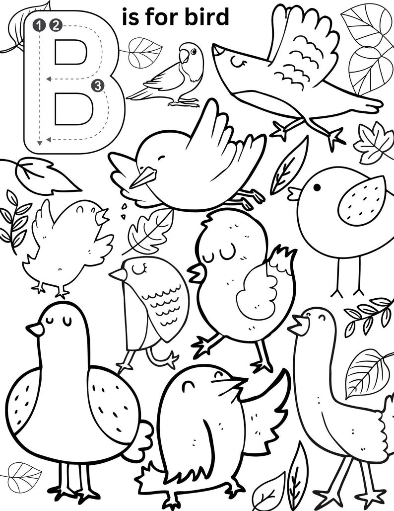 B is for Bird Alphabet Downloadable Printable Color Sheet for Adults ...