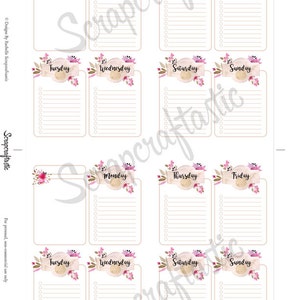 Rose Cream Undated Week on Two Page (WO2P) and Lined Notes POCKET SIZE ...