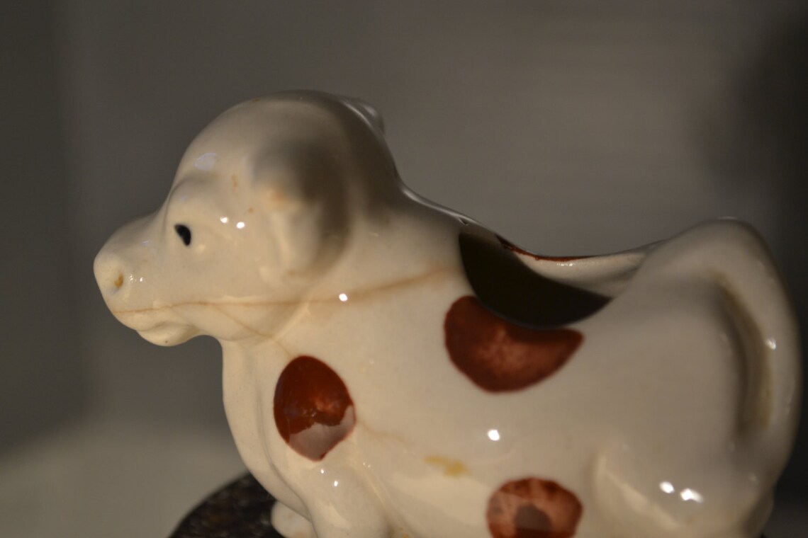 Cow / Toothpick Holder / Brown / White / Japan / Kitchen / | Etsy