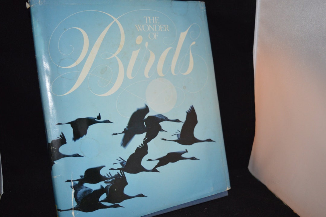SALE the Wonder of Birds / National Geographic Society / 1980s / Bird ...