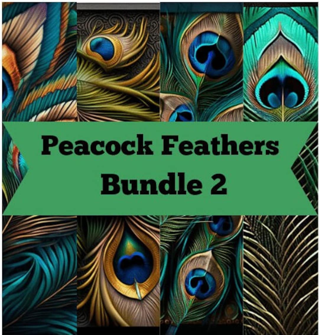 Peacock Feathers Bundle 2 - Etsy