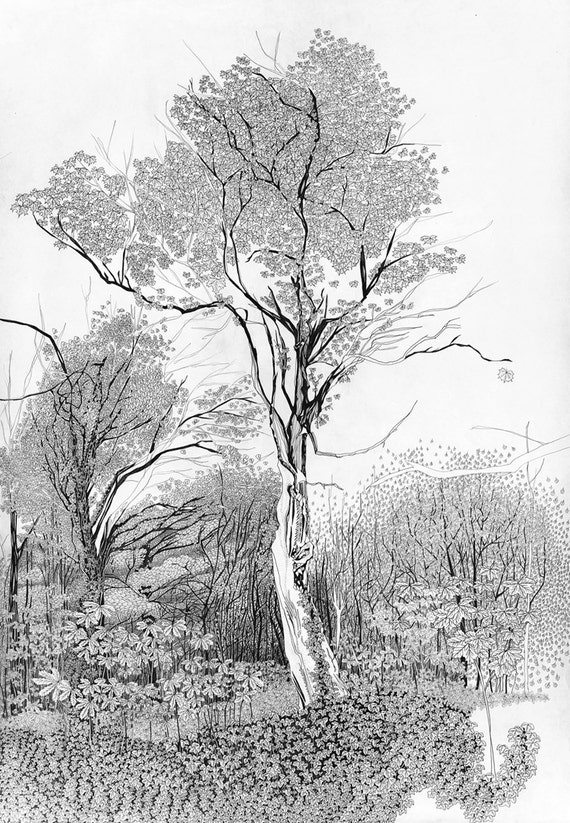 Nature Tree Drawings 30 Beautiful Tree Drawings And Creative Art Ideas