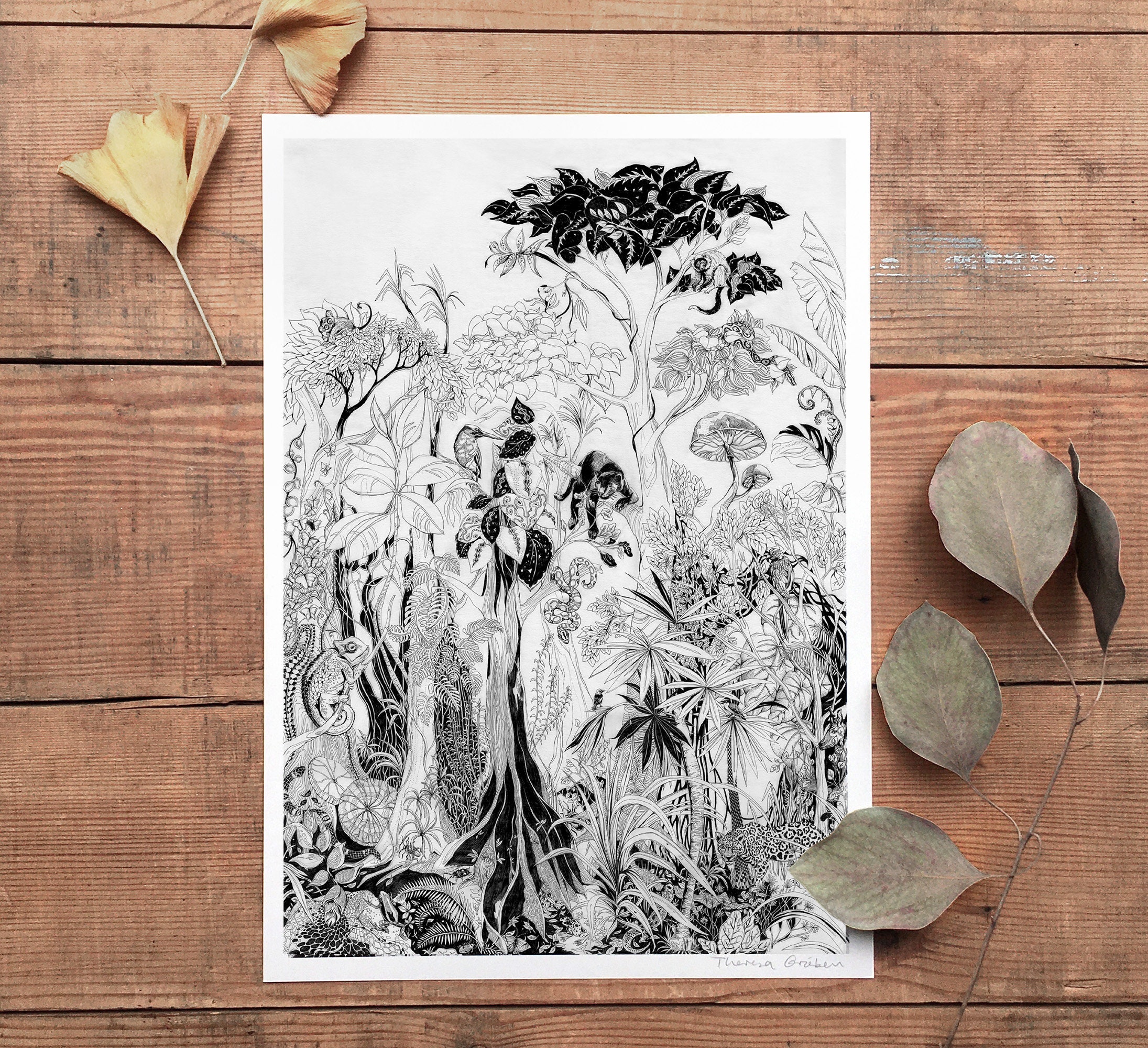 Rainforest Drawing